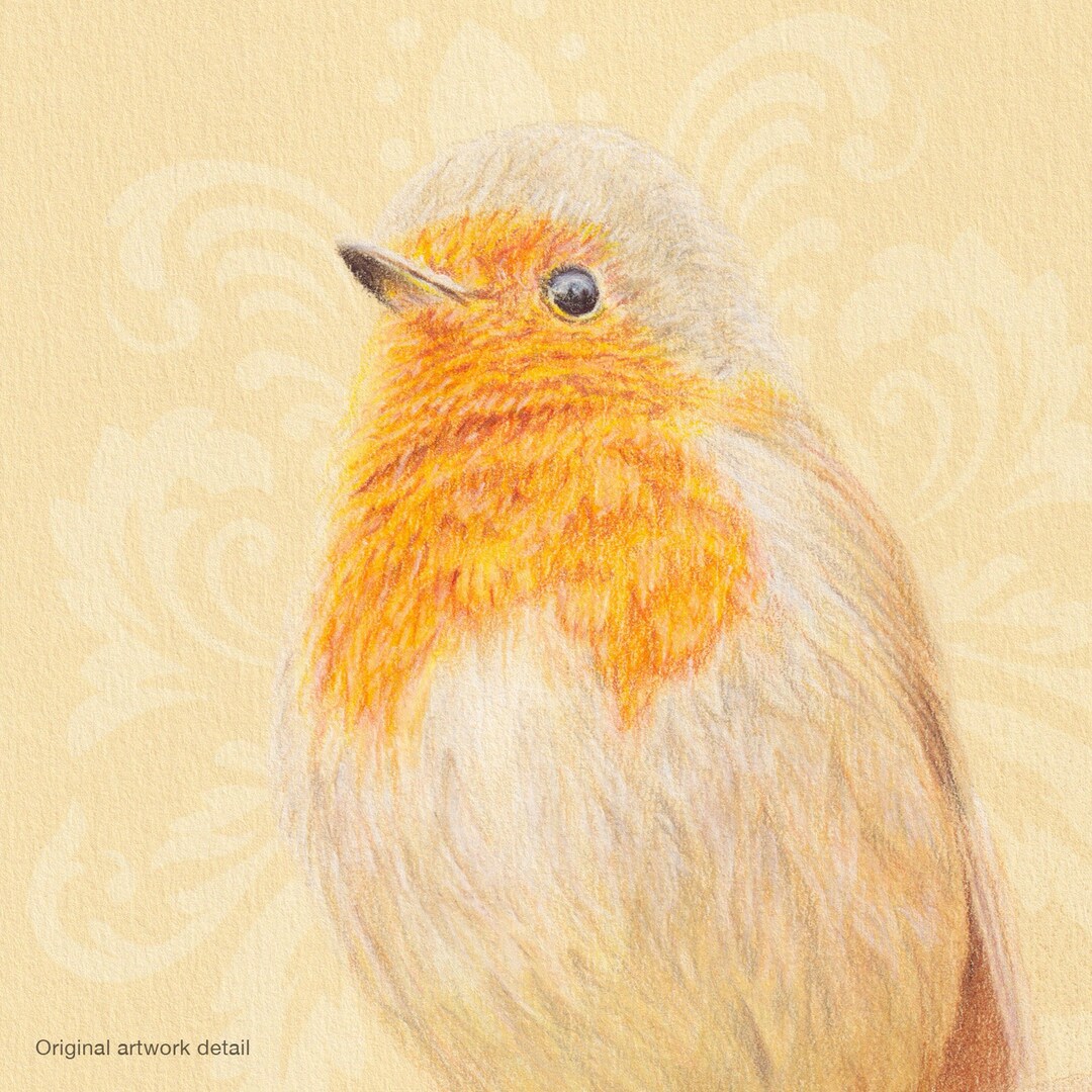 Robin on Light Ochre. 8" X 10" Original Coloured Pencil Drawing. Giclée ...