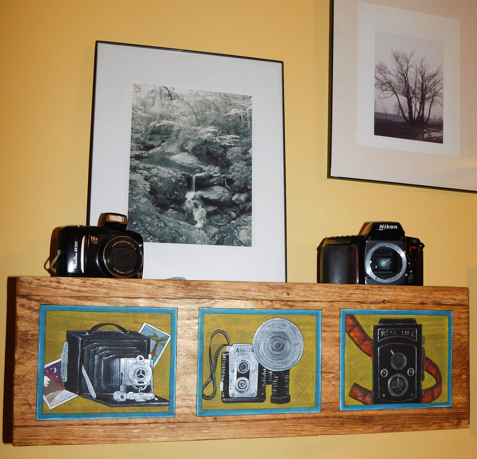 VINTAGE CAMERA DISPLAY Shelf Floating Shelf Handcrafted - Etsy