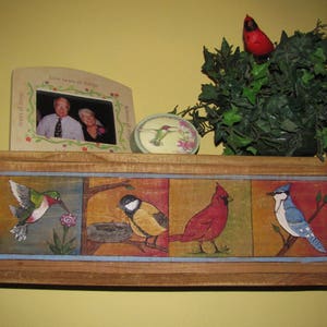 FLOATING SHELF, Shelf, Bird Lovers, Hummingbird, Cardinal, Painted ...