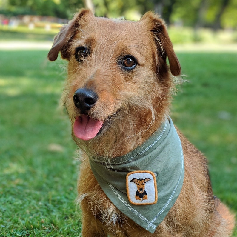 Personalized Custom Dog Portrait. Commission Pet Portrait. Dog - Etsy