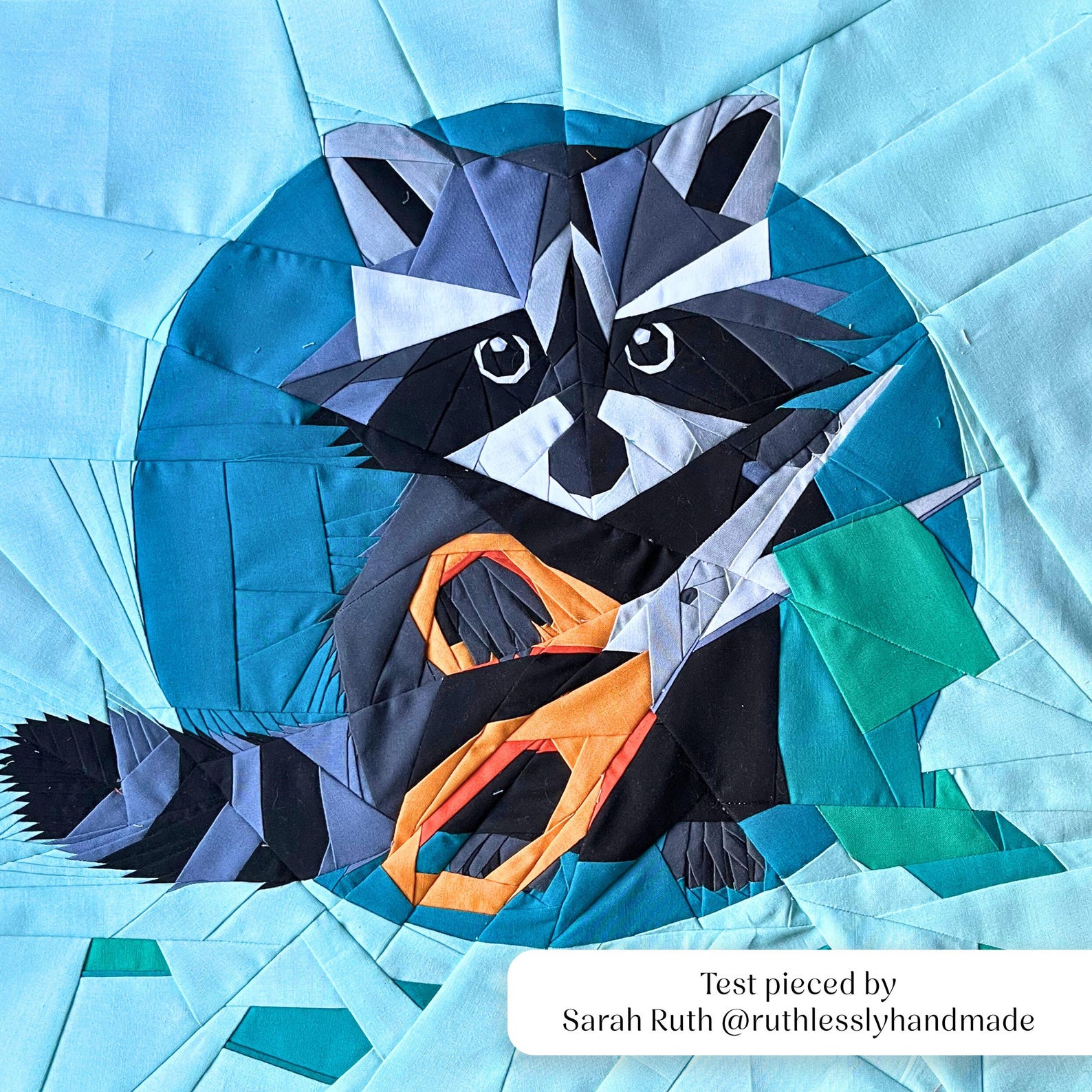 Like a Hungry Raccoon - Foundation Paper Piecing PDF Pattern - Etsy