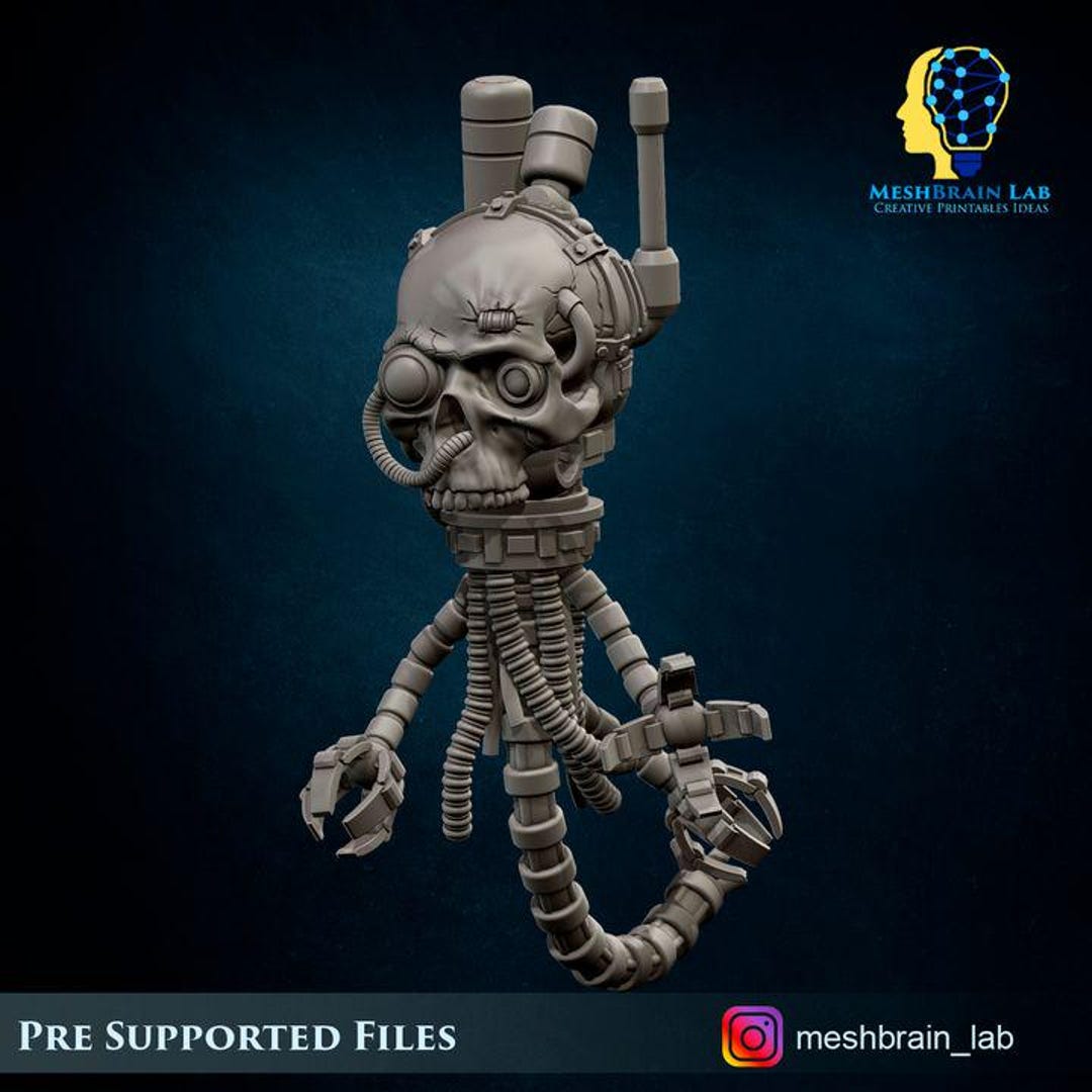 Servo Bot Skull 1 - Etsy