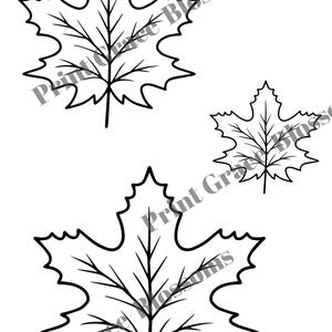 Printable Multi-size Leaf Template - Etsy