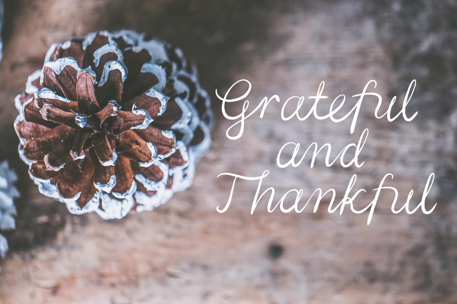 Printable Grateful and Thankful Card Pinecone Fall Background - Etsy