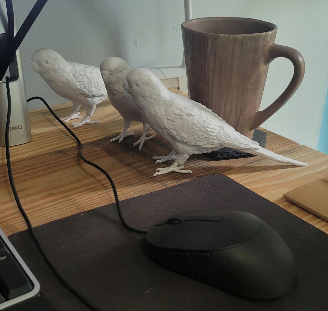 Parakeet | 3d Printed | White PLA | Model | Figurine - Etsy