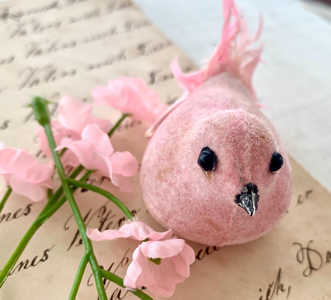 Pepita the Pink Songbird - Etsy
