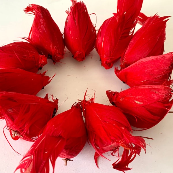 Red Birds in Tree - Etsy