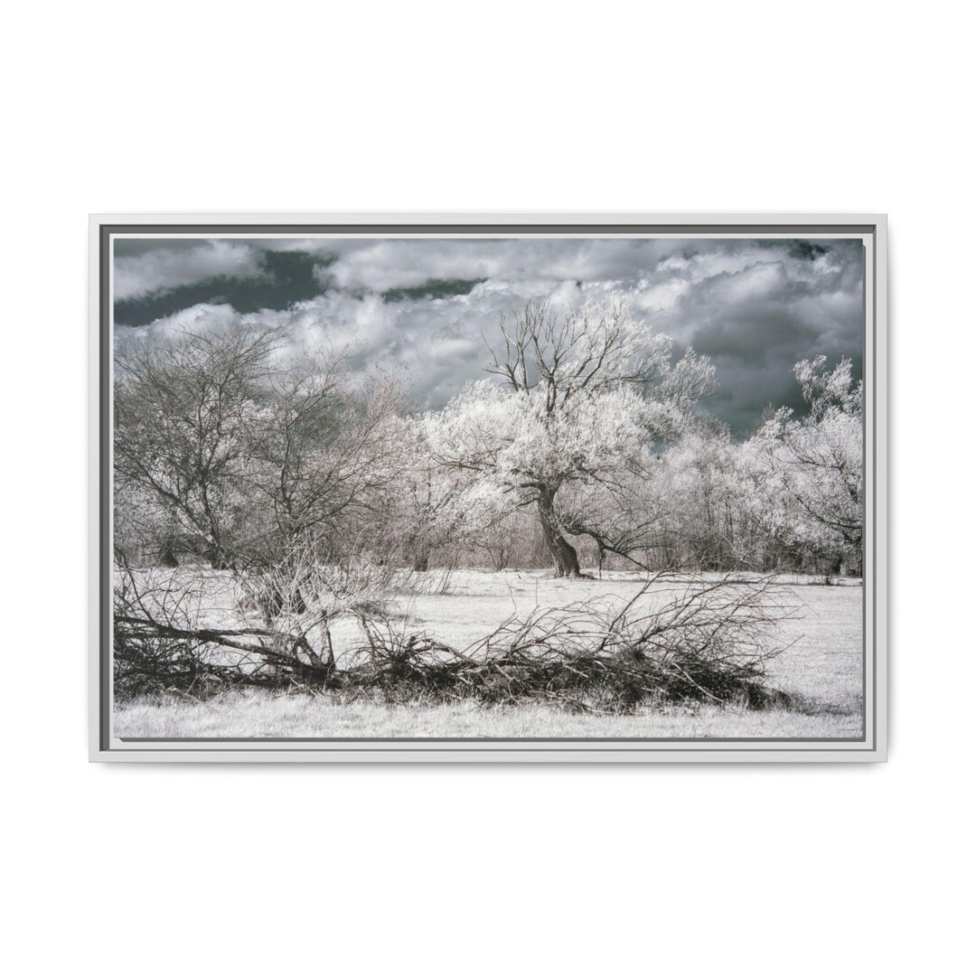 Infrared Landscape Photography Art, Canvas Print, Home Decor Wall Art ...