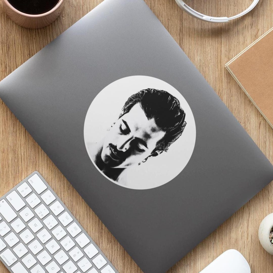 Damiano David Vinyl Sticker | Fan Art Decal With Permanent Adhesive ...