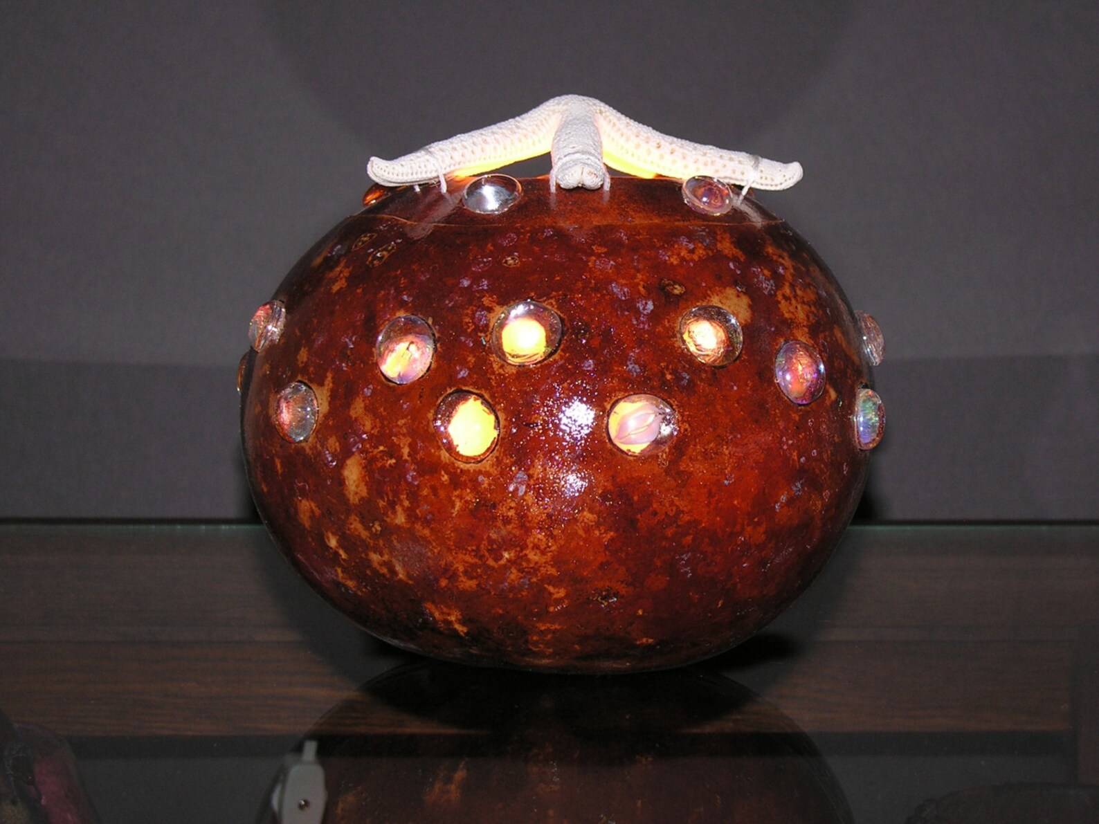 Starfish Gourd Lamp - Etsy