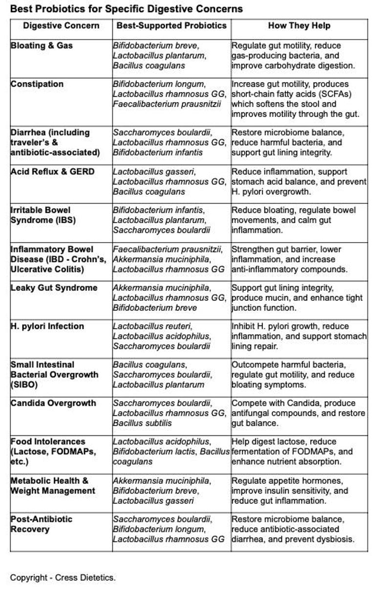 Probiotics for Digestion Table and Chart - Etsy