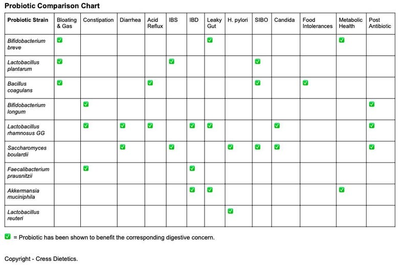 Probiotics for Digestion Table and Chart - Etsy