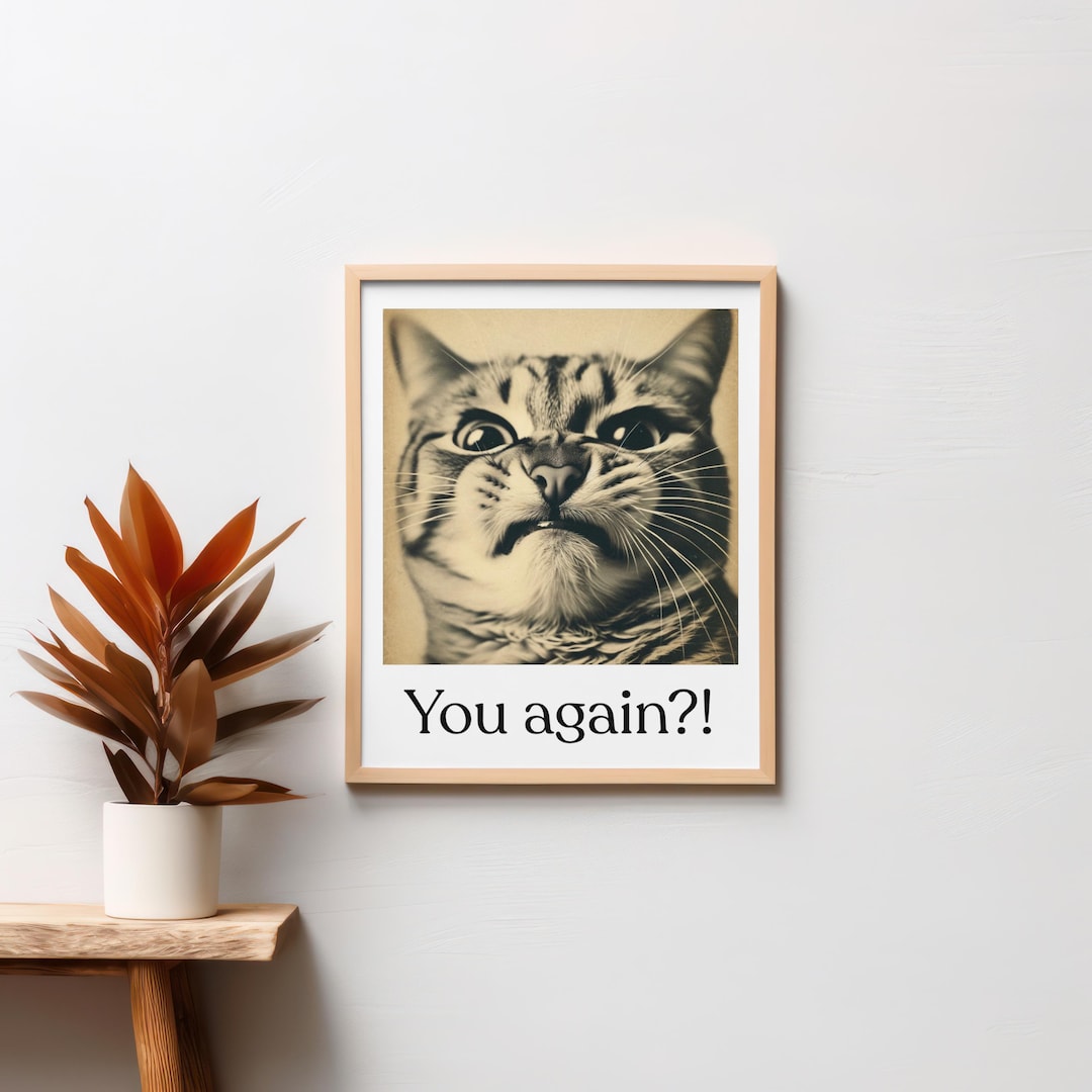 Funny Cat Posters, Funky Poster Print, Funny Cat Meme, Preppy Print ...