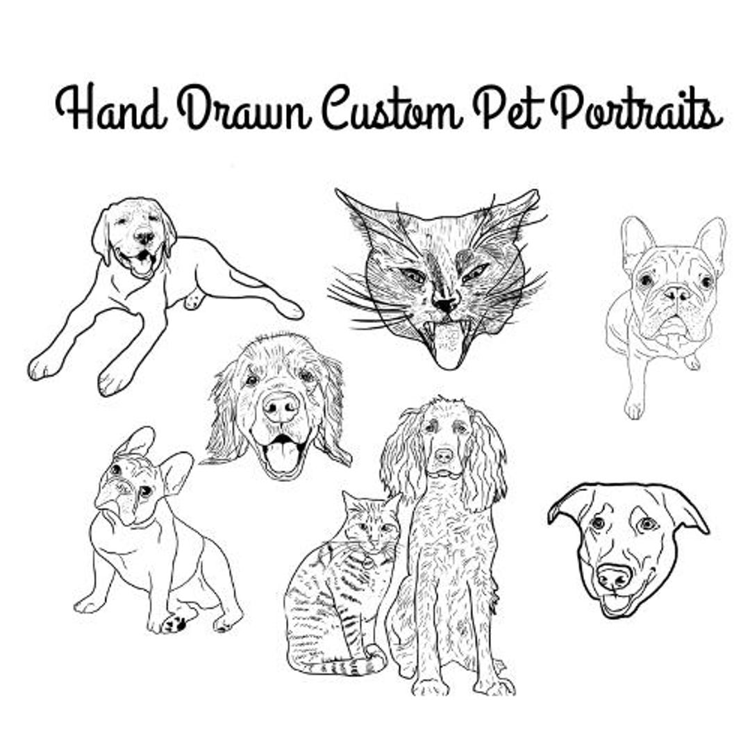 Custom Hand Drawn Pet Portraits - Etsy