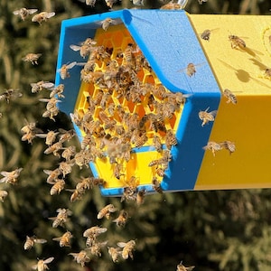 Pollen Bee Feeder the Hivebar™ – Easy-use Pollen Station for Bees ...