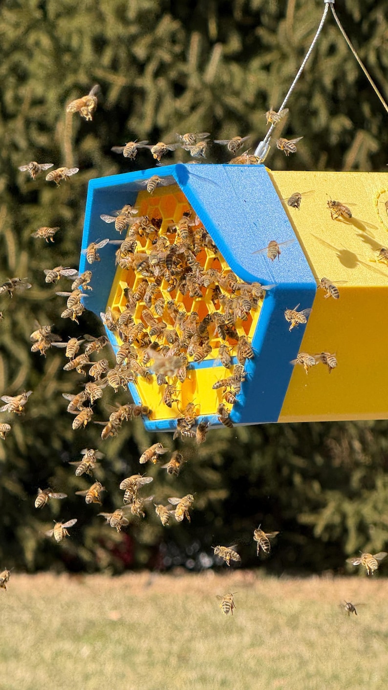Pollen Bee Feeder the Hivebar™ – Easy-use Pollen Station for Bees ...