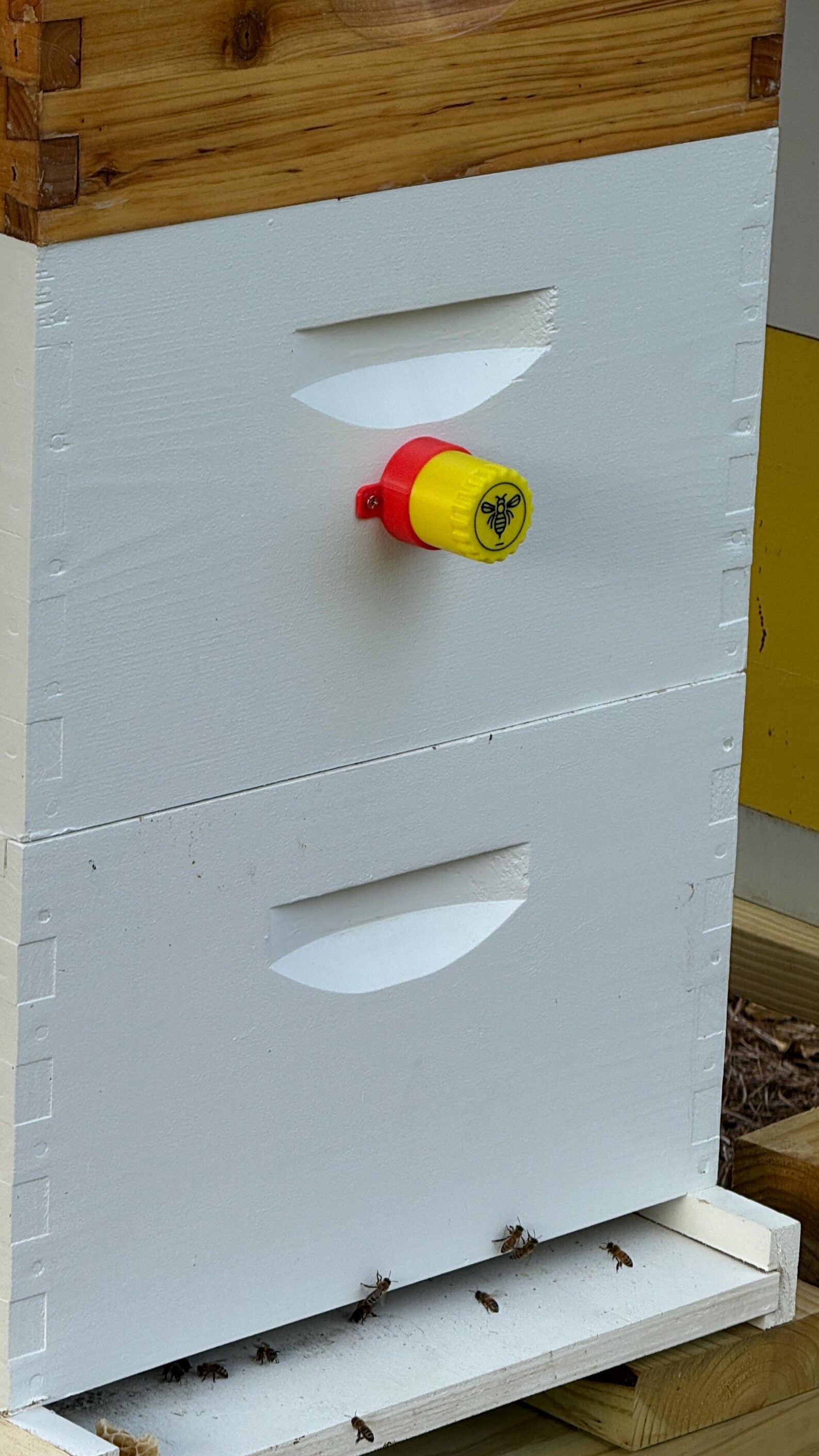 Bee Hive Upper Entrance With Protective Cap: Ventilation & Pest Control ...