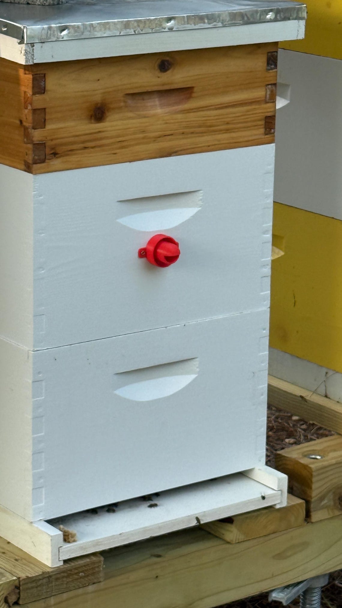 Bee Hive Upper Entrance With Protective Cap: Ventilation & Pest Control ...