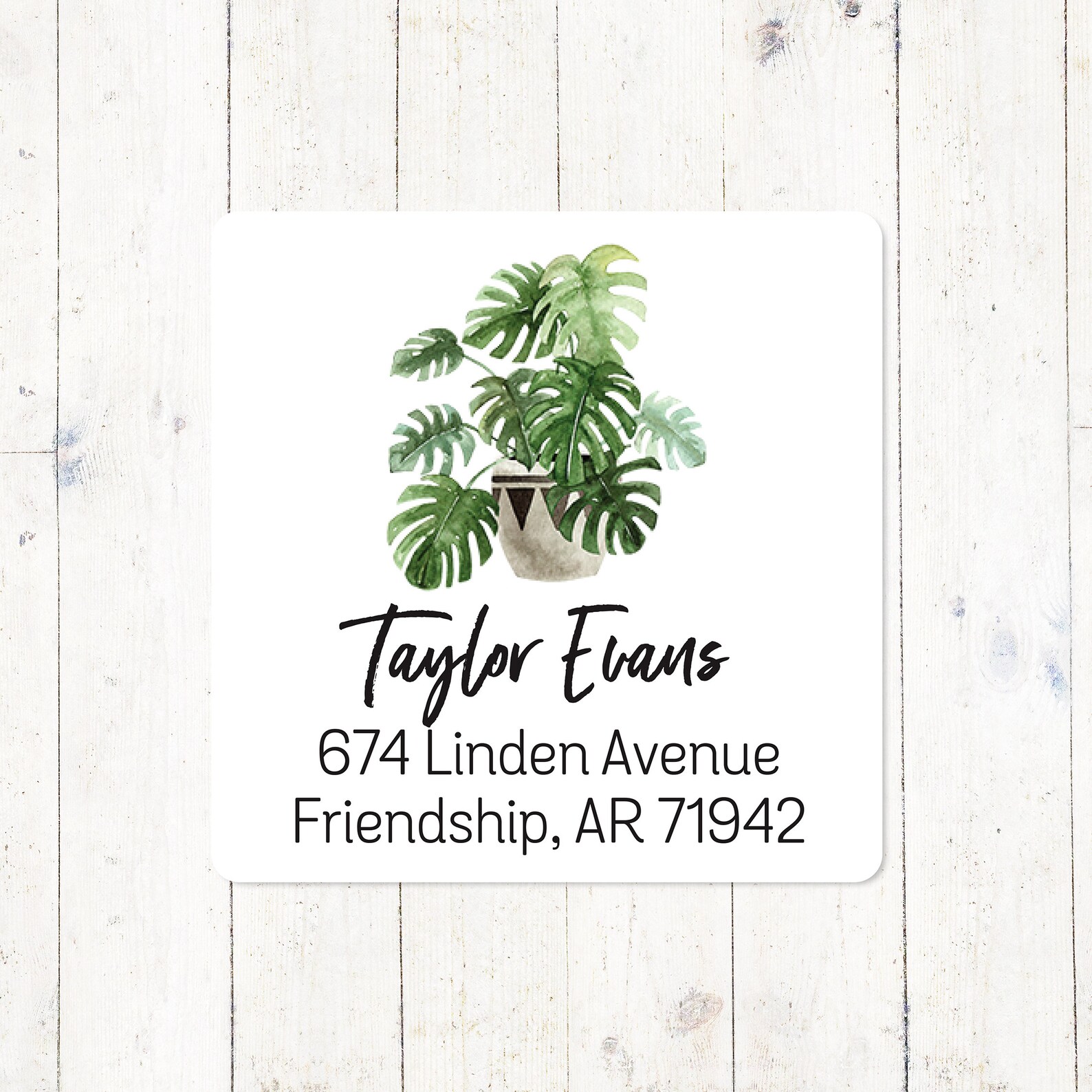 Personalized Return Address LABEL Watercolor MONSTERA | Etsy