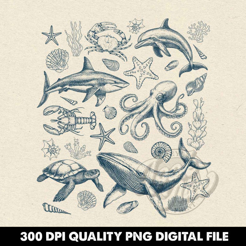 Retro 90s Sea Creatures PNG: Ocean Lover Design (digital Download) - Etsy