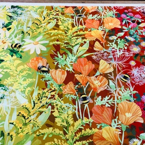 Fabric Moda Wild Blossoms Rainbow 48730 11 Floral Ombre Selvage to ...