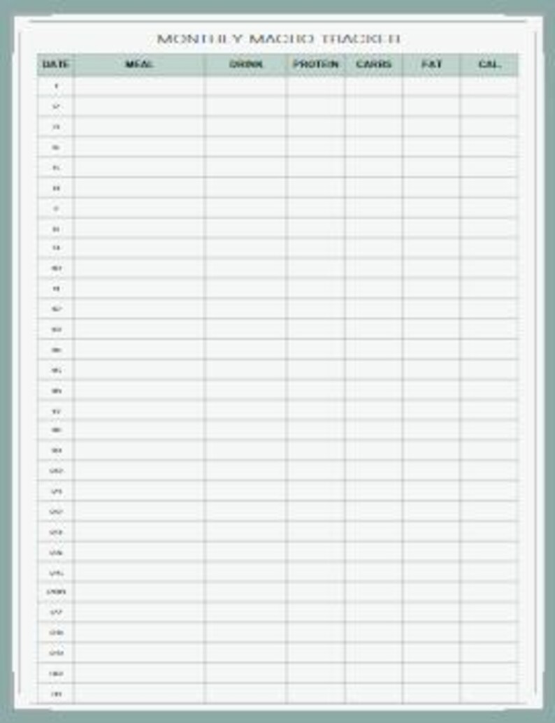 Monthly Macro Tracker Template - Etsy