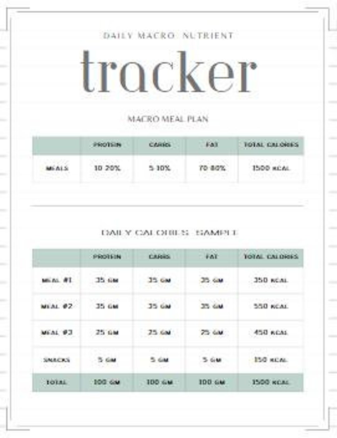 Monthly Macro Tracker Template - Etsy