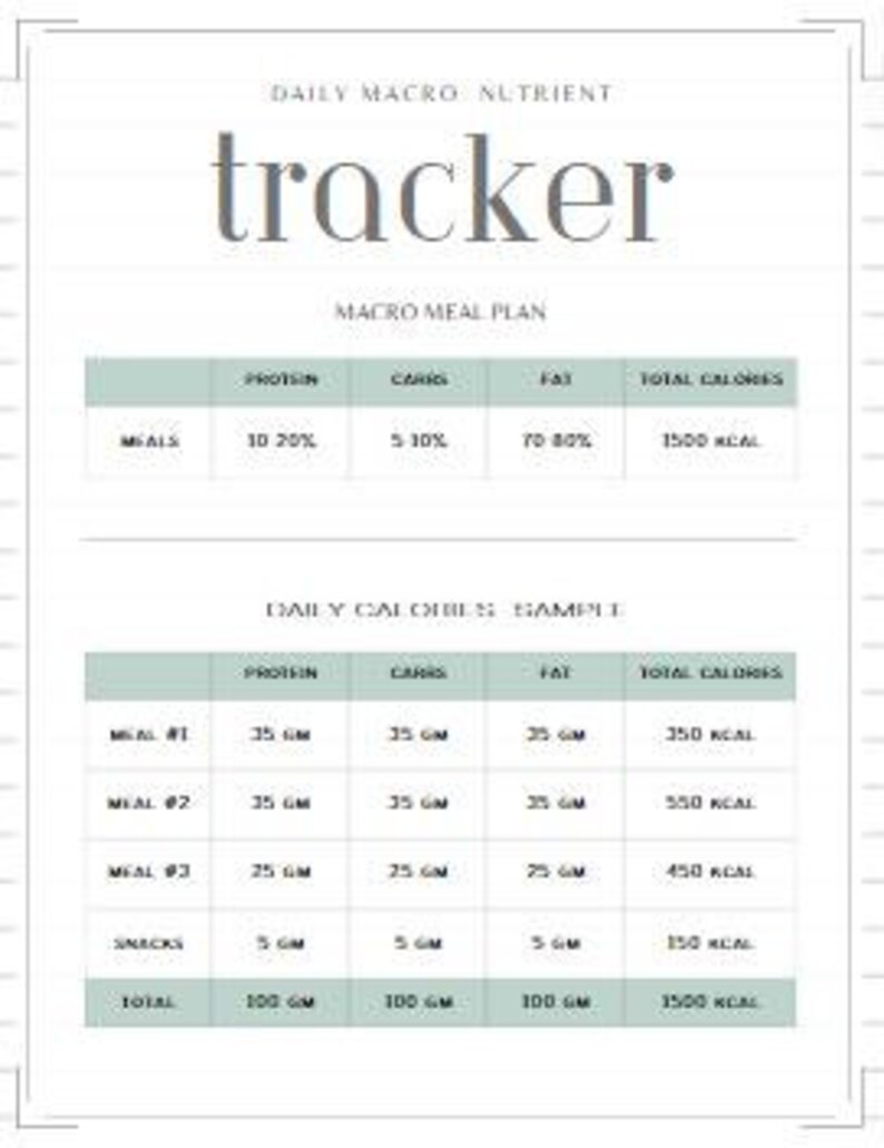 Monthly Macro Tracker Template - Etsy