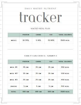 Monthly Macro Tracker Template - Etsy