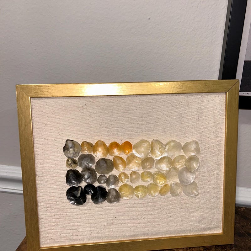 Framed Shell Art - Etsy