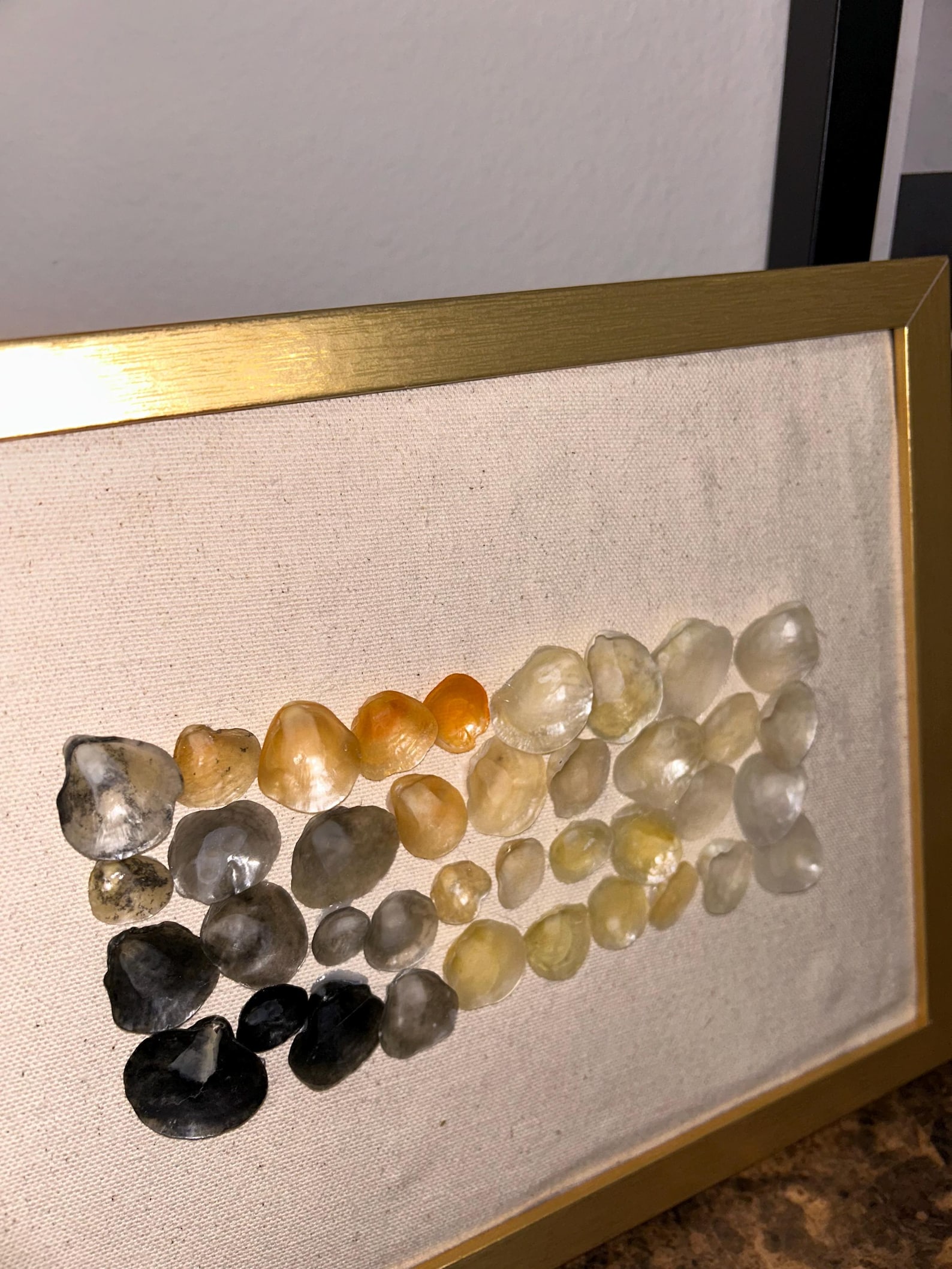 Jingle Shell Mosaic Art: Florida Seashells in Gold Frame (8x10) - Etsy