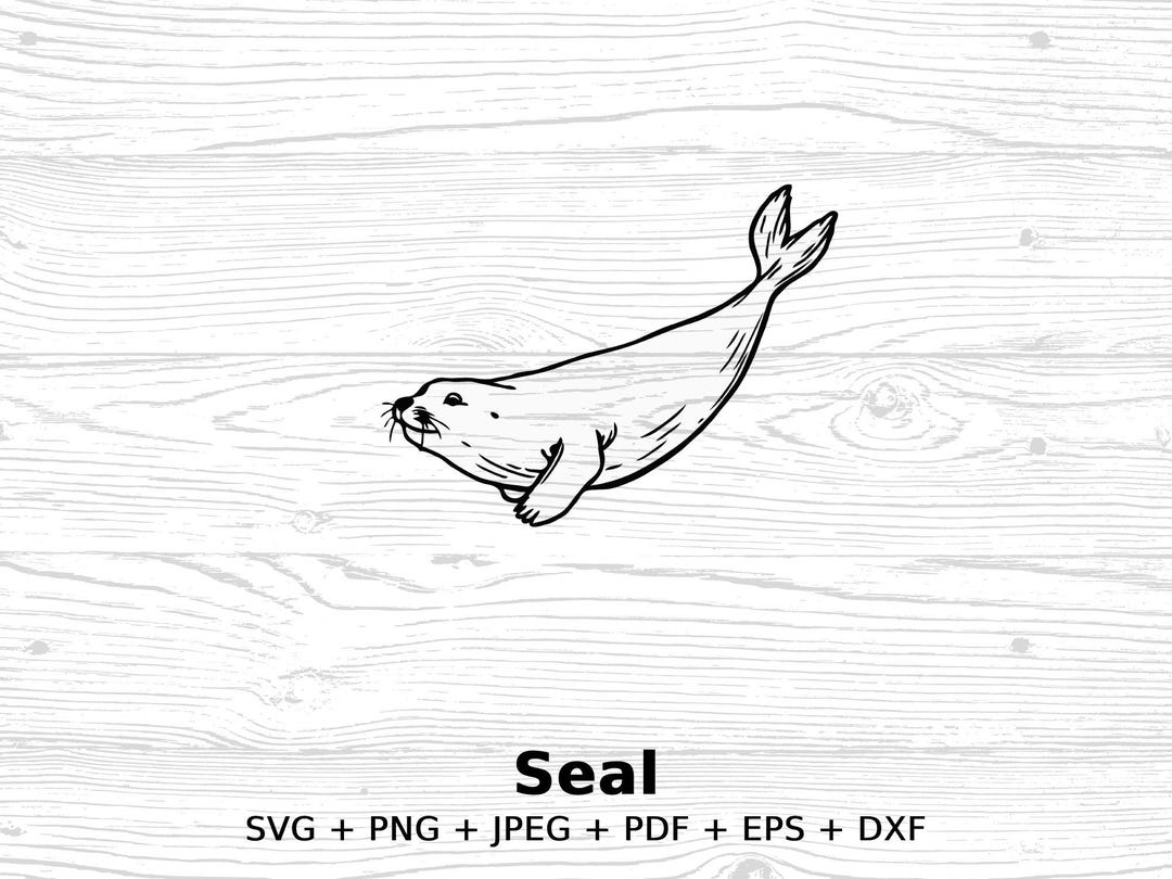 Seal Clipart, Instant Digital Download, Seal Illustration for Diy ...