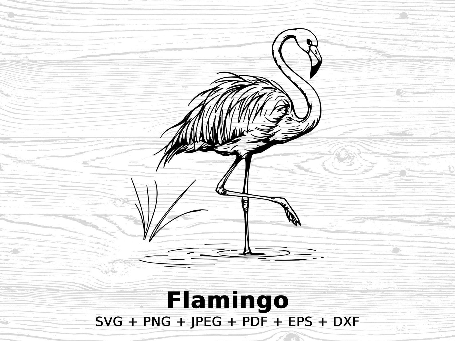 Flamingo Bird Vector Clipart Digital Download, Flamingo Outline Vector ...