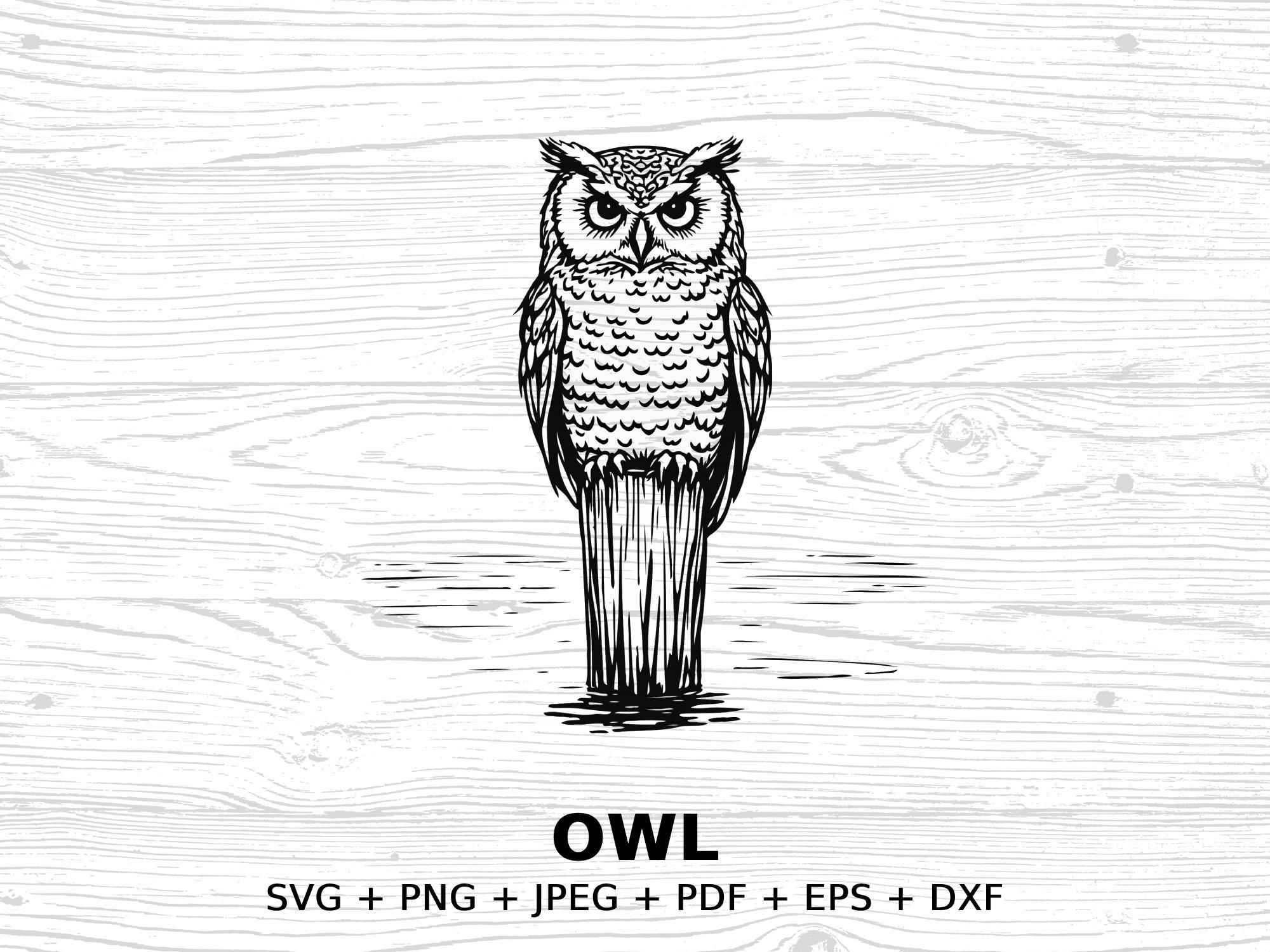 Cute Owl Clipart Digital Download, SVG PNG JPEG Pdf Eps Dxf Files, Owl ...