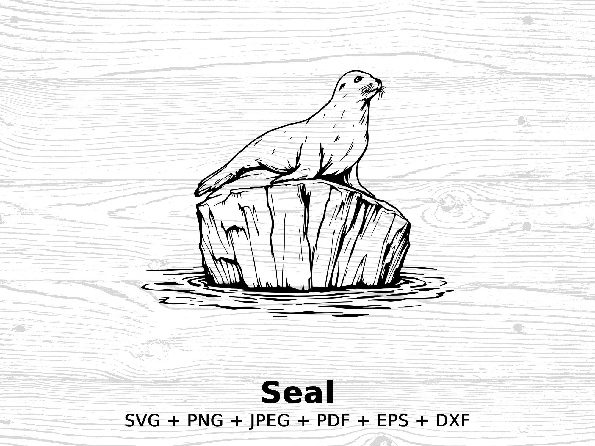 Cute Seal Vector Clipart, Digital Download, Arctic Iceberg Seal ...