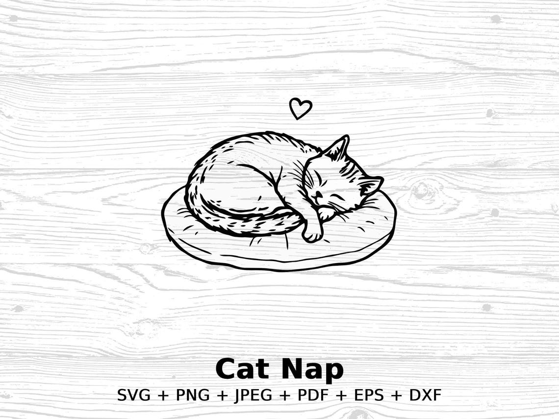 Cute Cat Nap Clipart Digital Art, Instant Digital Download in SVG, PNG ...