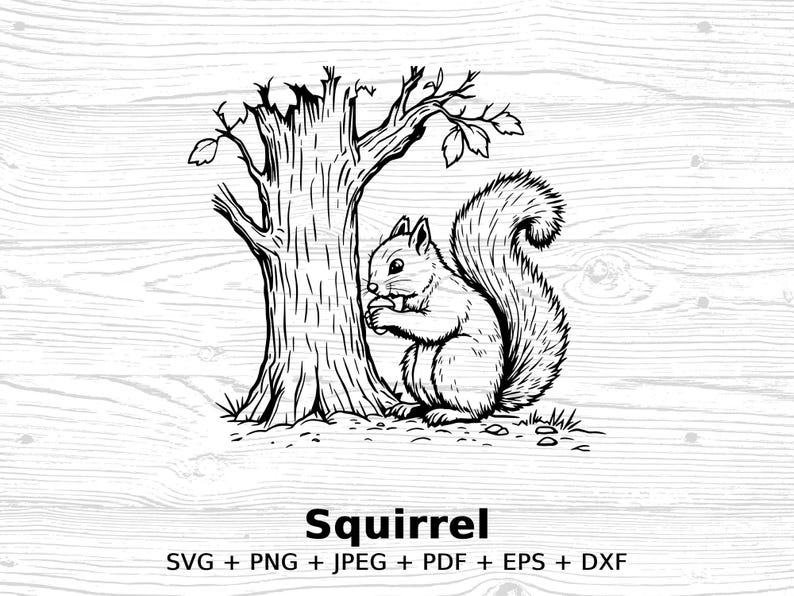 Cute Squirrel Vector Clipart Digital Download, Woodland Wall Decor, DIY ...