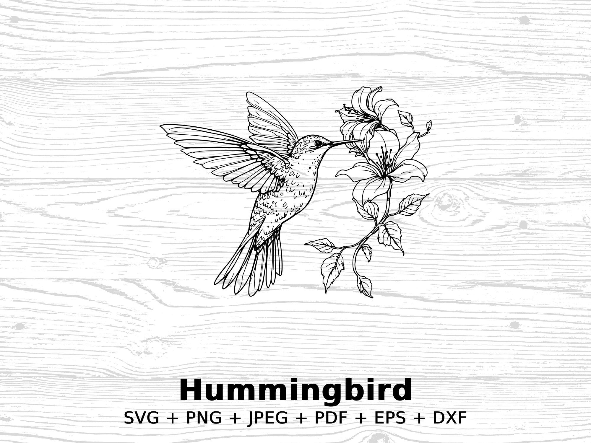 Hummingbird Line Art Digital Download, SVG, PNG, JPEG, Pdf, Eps, Dxf ...
