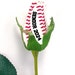 Personalized Baseball Rose Baseball Flowers Baseball - Etsy