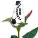 Soccer Rose Soccer Gifts for Girls Soccer Flower - Etsy
