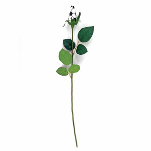 Personalized Soccer Rose | Soccer Valentines | Soccer Flower | Soccer ...
