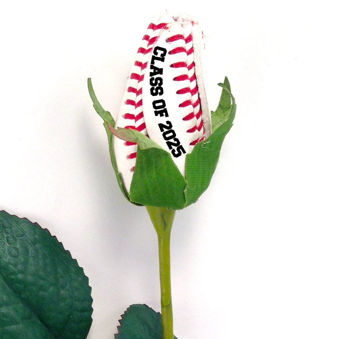Class of 2025 Baseball Rose, Baseball Graduation, Baseball Senior Gift ...