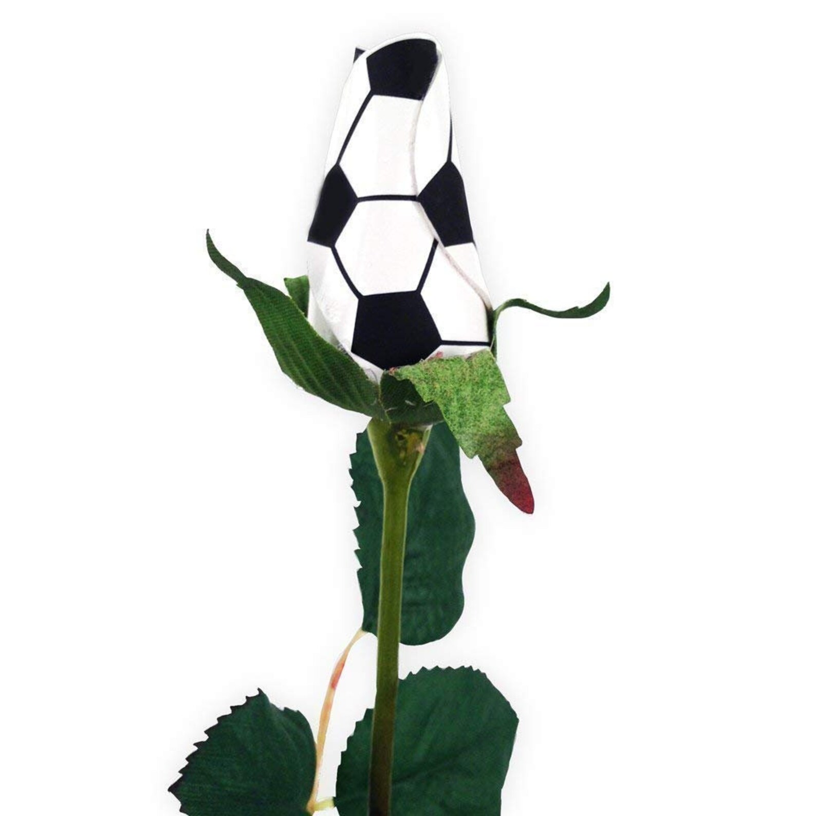Personalized Soccer Rose - Etsy