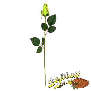 Personalized Softball Rose | Personalized Softball Gifts | Softball ...