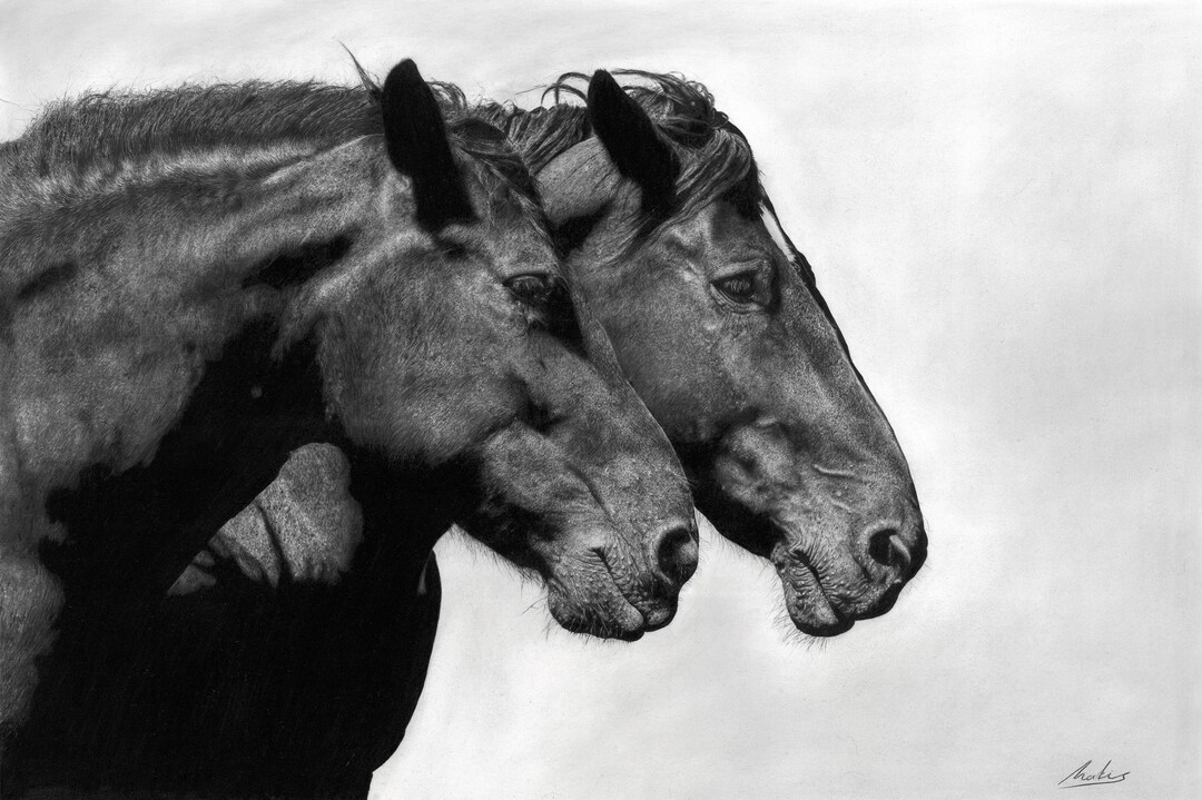 Horses, Original Realistic Drawing - Etsy