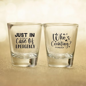 Funny Shot Glass Sayings Bundle, Tequila Designs (svg, Png, Eps, Dxf ...
