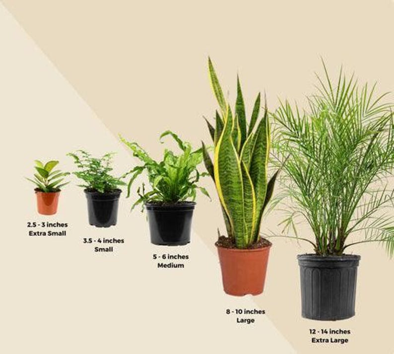 Modern "neo Plant" 3D Printed Planter Pot W/drainage Tray - Etsy