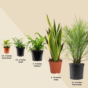 Alver Planter With Drainage Tray & Stand Geometric 3D Printed Planter ...