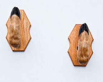 Deer hooves | Etsy