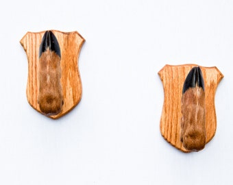 Taxidermy Deer Hoof Foot Feet Gun Rack on Beautifully Finished Oak ...